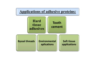 Adhesive proteins | PPT