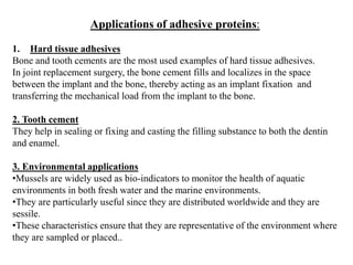 Adhesive proteins | PPT