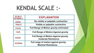 manual muscle testing by K Adhi lakshmi vapms cop | PPTX