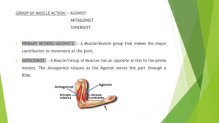manual muscle testing by K Adhi lakshmi vapms cop | PPTX