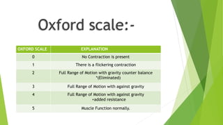 manual muscle testing by K Adhi lakshmi vapms cop | PPTX