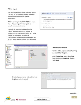 Ad hoc reporting | PDF