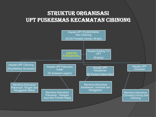 Analisa Struktur Organisasi UPT PUSKESMAS yg terkait PMM | PPTX