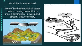 The Watershed and basin catchments .pptx