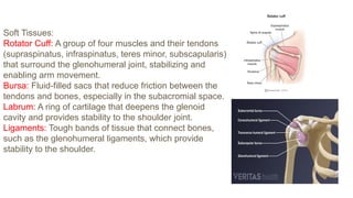 A DIAGNOSTIC APPROACH TO SHOULDER PAIN.pdf