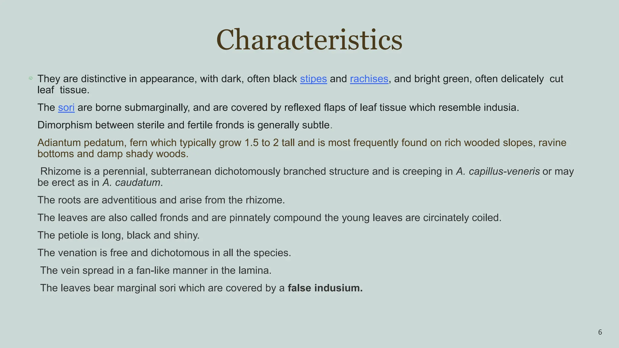 Adiantum.pptx(intoduction,species,reproduction) | PPTX