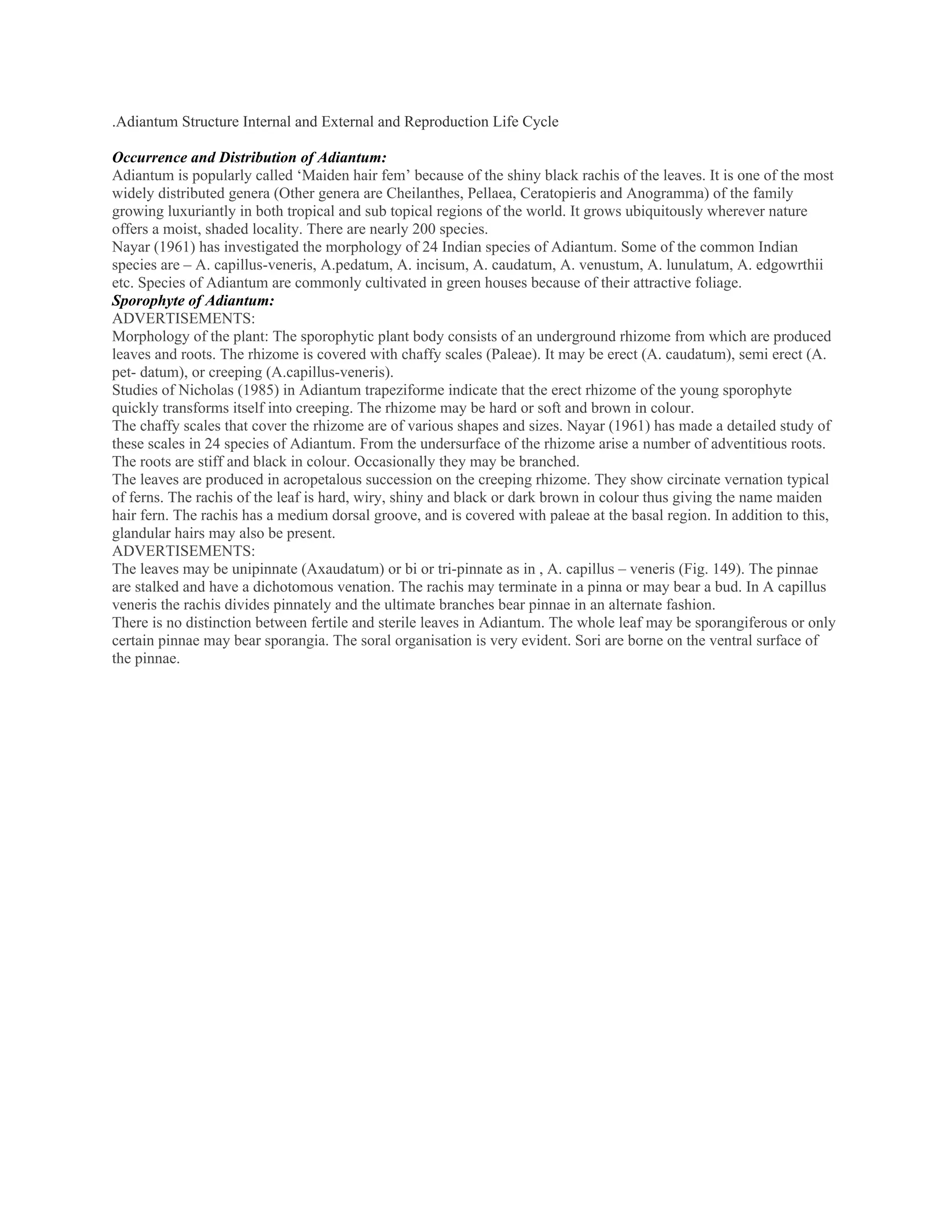 ADIANTUM anatomy and reporduction with diagrams | PDF