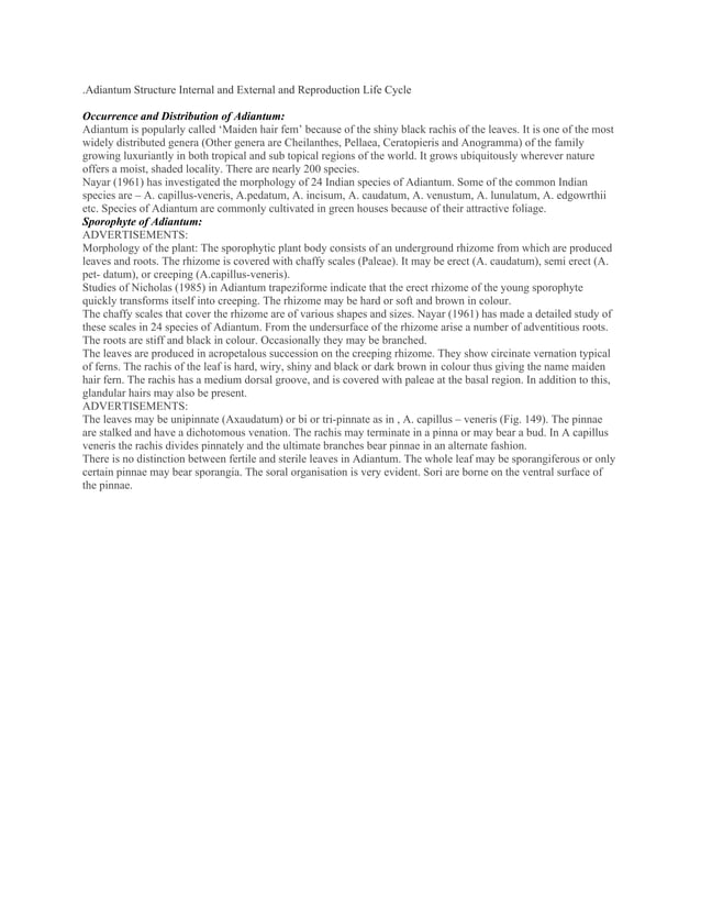 ADIANTUM anatomy and reporduction with diagrams | PDF | Skin and ...