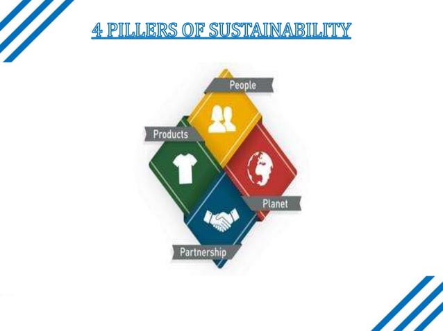 Environmental Impact of Adidas | PPTX