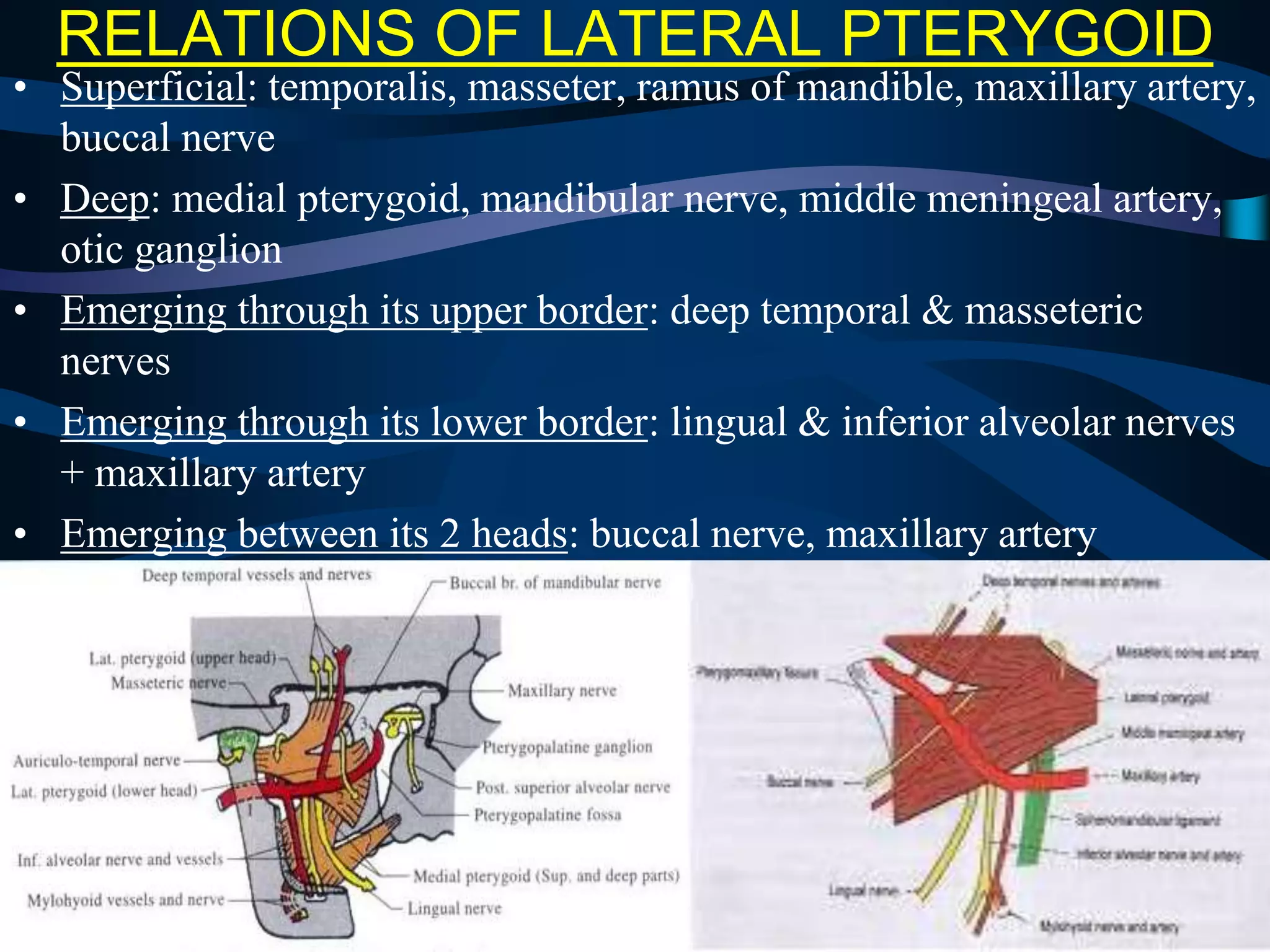 Surgical anatomy of Infratemporal fossa. by Dr. Aditya Tiwari | PPTX