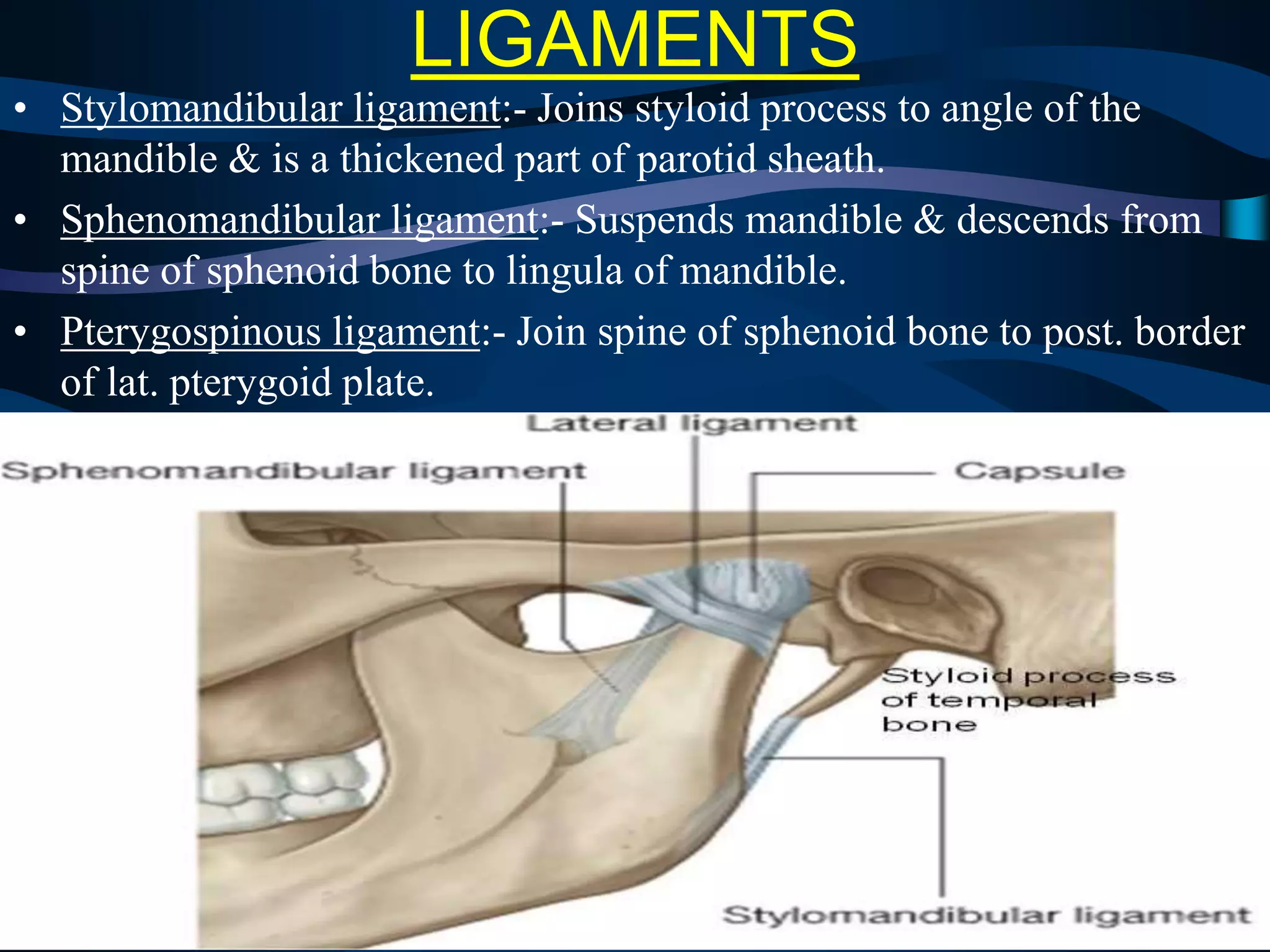 Surgical anatomy of Infratemporal fossa. by Dr. Aditya Tiwari | PPTX