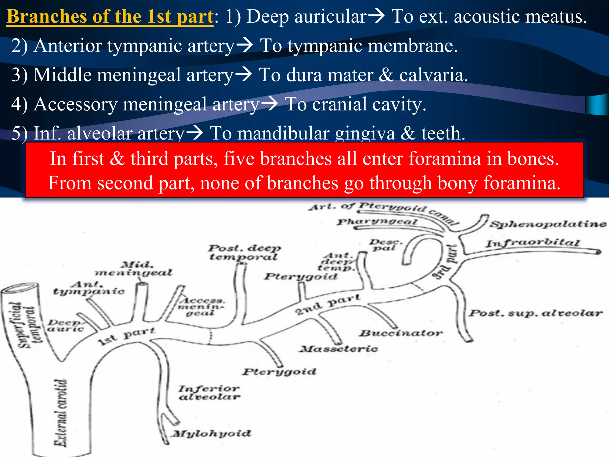Surgical anatomy of Infratemporal fossa. by Dr. Aditya Tiwari | PPTX