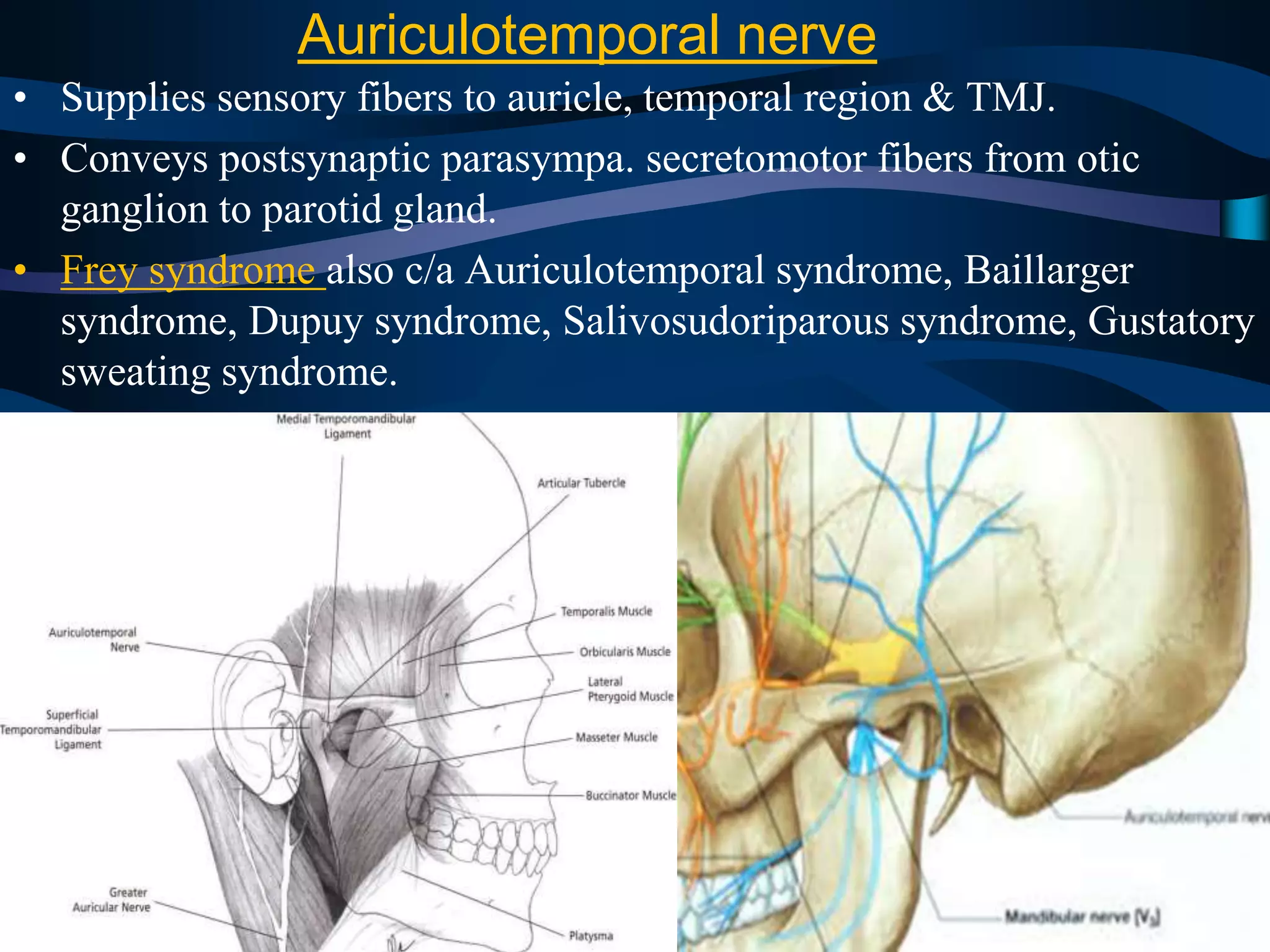 Surgical anatomy of Infratemporal fossa. by Dr. Aditya Tiwari | PPTX
