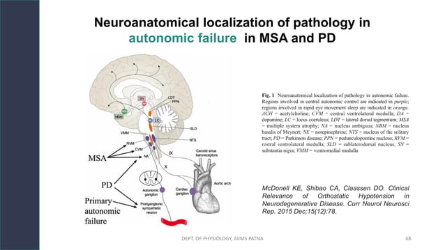 Autonomic Dysfunction in Multiple System Atrophy and Parkinson's Disease | PDF