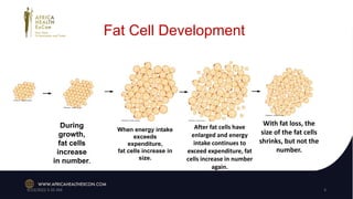 Adipokines as a potential biomarkers for vascular complications in type ...
