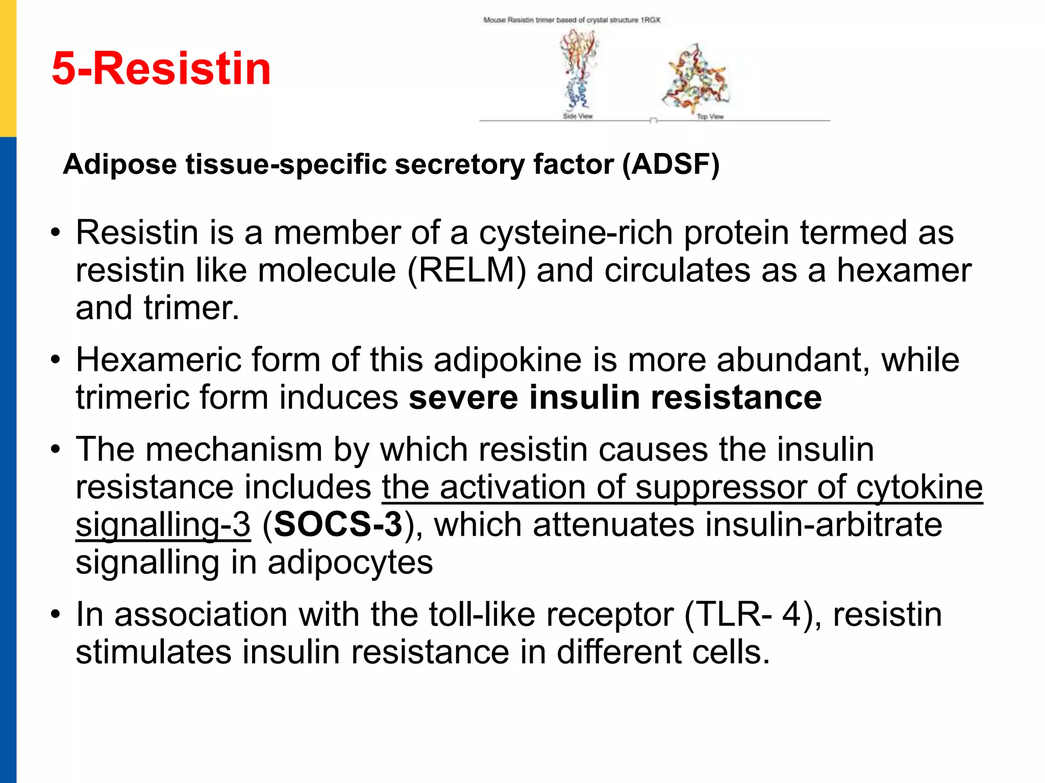 Adipokines in Insulin Resistance Current Updates.pptx