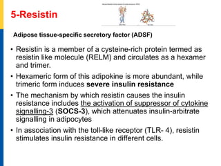 Adipokines in Insulin Resistance Current Updates.pptx