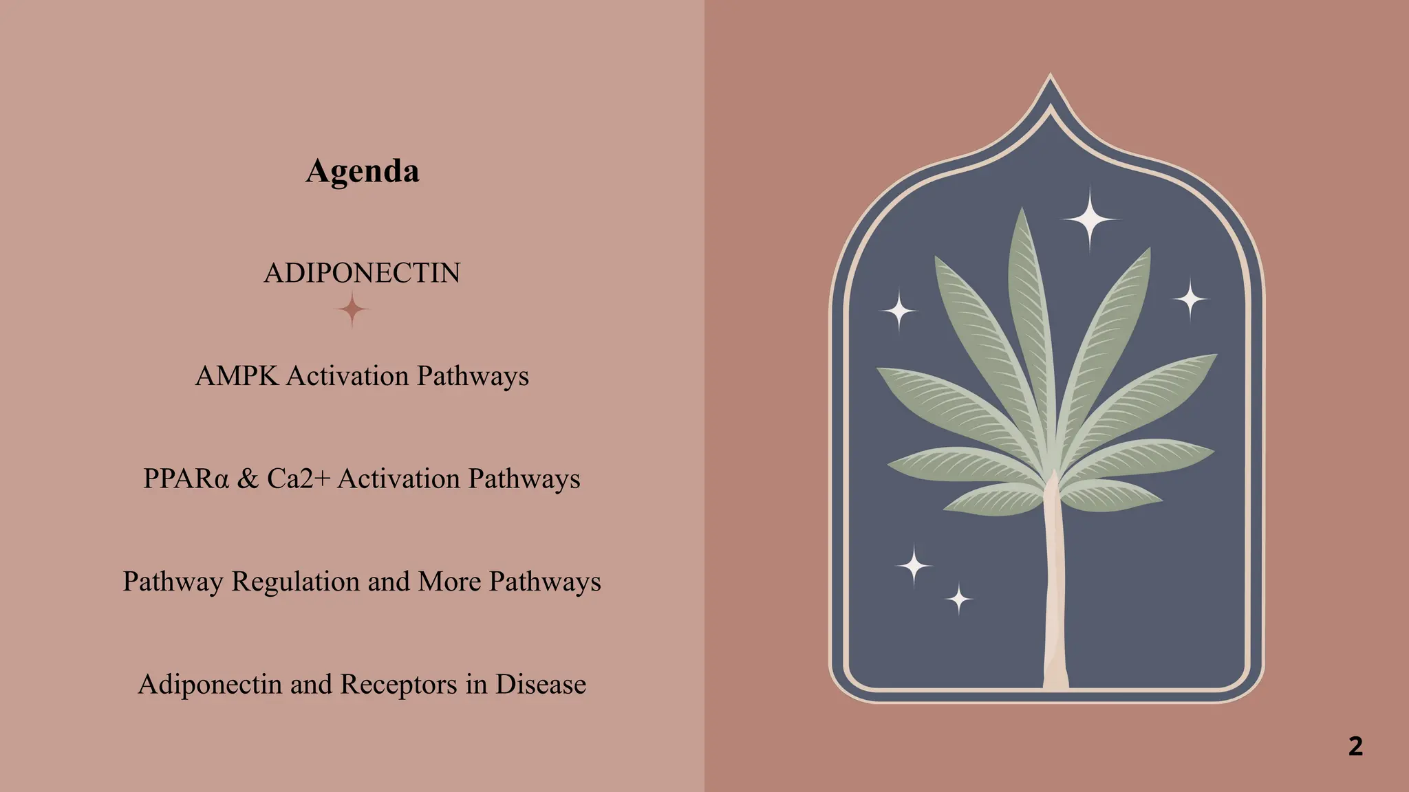 Adiponectin and signaling pathway.pptx Negar Tehrani | PPTX