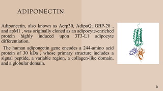 Adiponectin and signaling pathway.pptx Negar Tehrani | PPTX