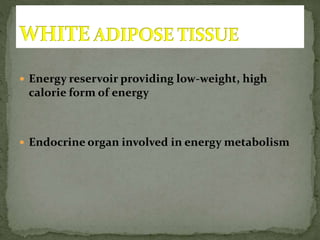 Adipose tissue | PPTX