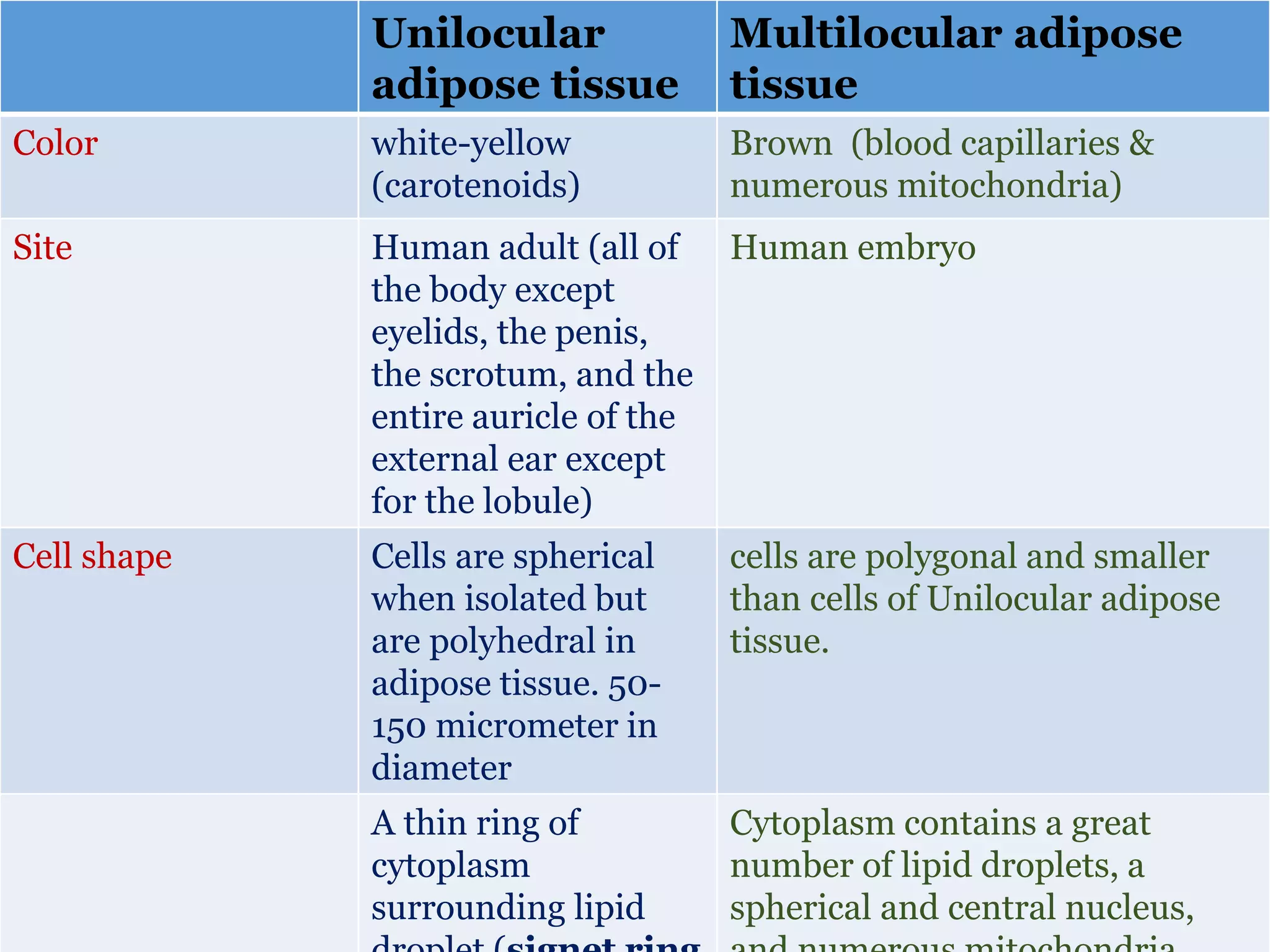 Adipose tissue dr hina | PPTX