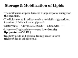 Adipose tissue dr hina | PPTX