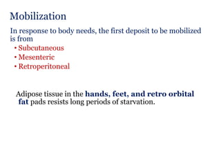 Adipose tissue dr hina | PPTX