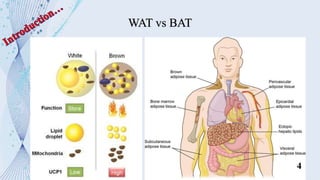 Adipose tissue hormones | PPTX
