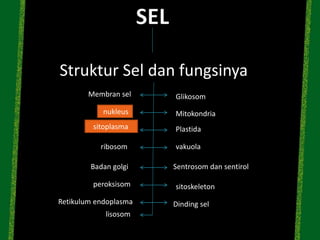 Nukleus dan sitoplasma | PPTX