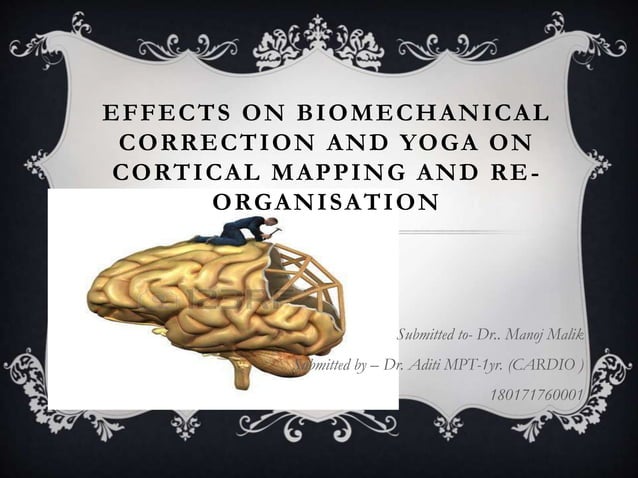 effects of biomechanical correction and yoga on cortical mapping and re ...