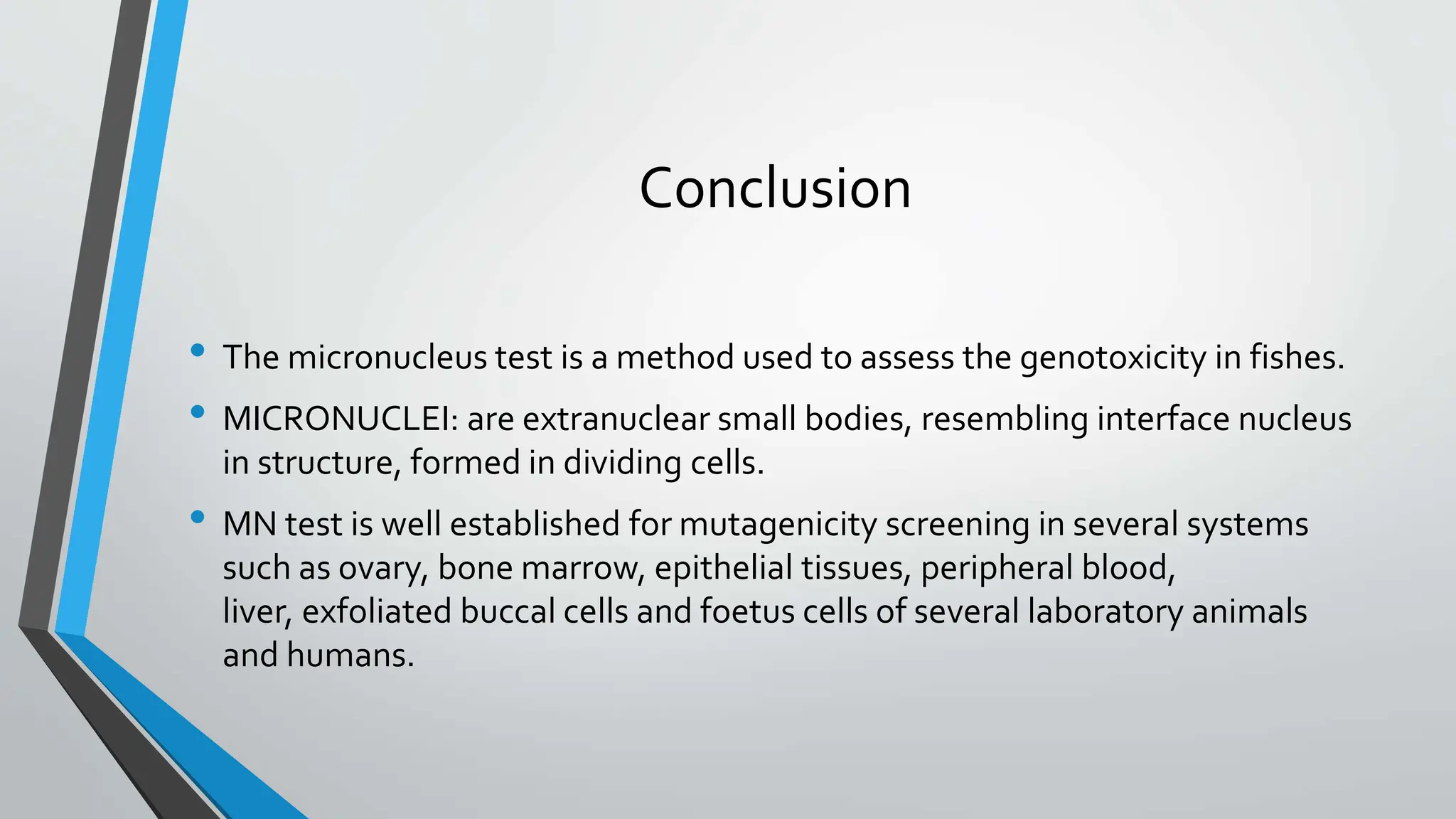 Micronuclei test.M.sc.zoology.fisheries. | PPTX