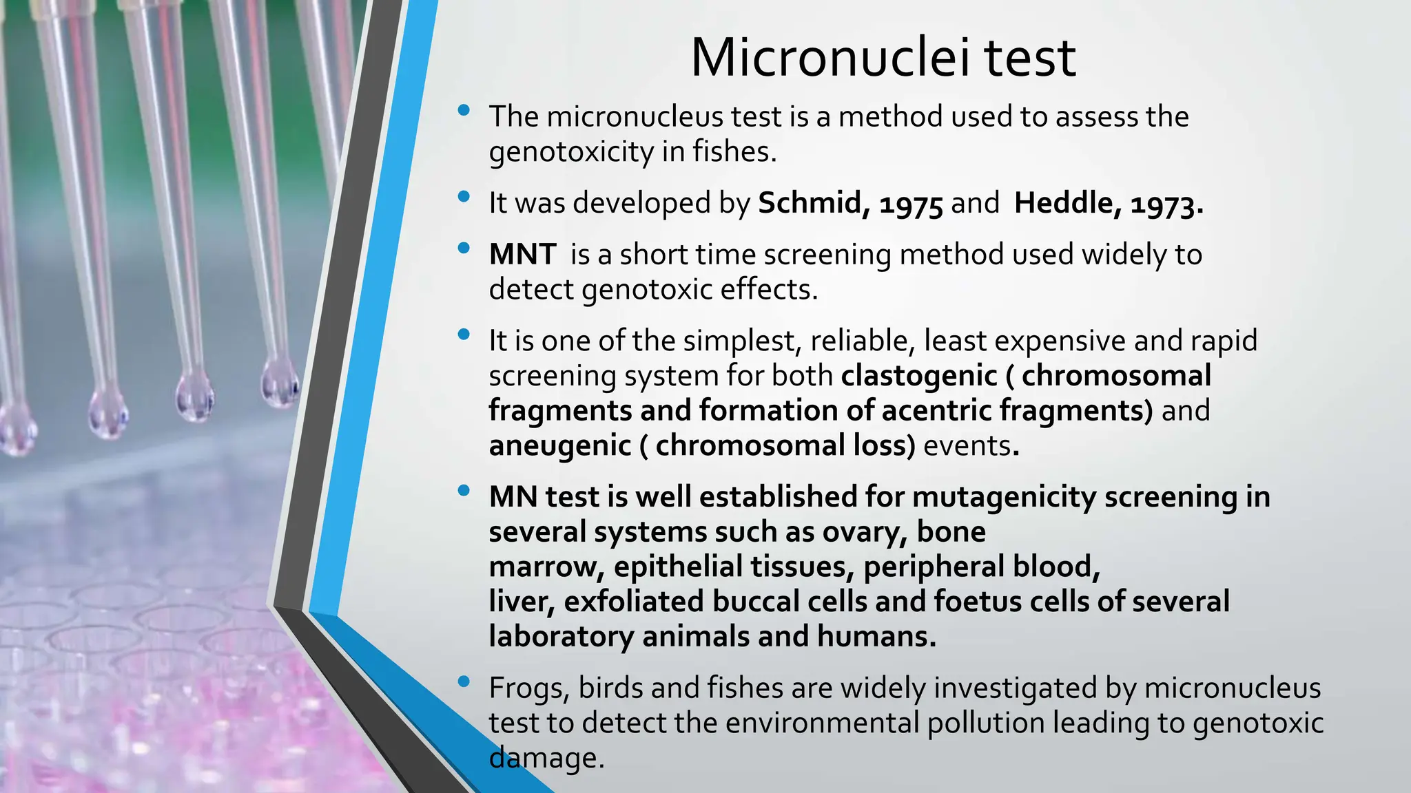Micronuclei test.M.sc.zoology.fisheries. | PPTX