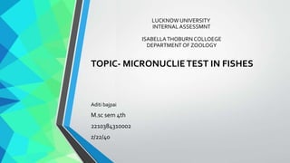 Micronuclei test.M.sc.zoology.fisheries. | PPTX