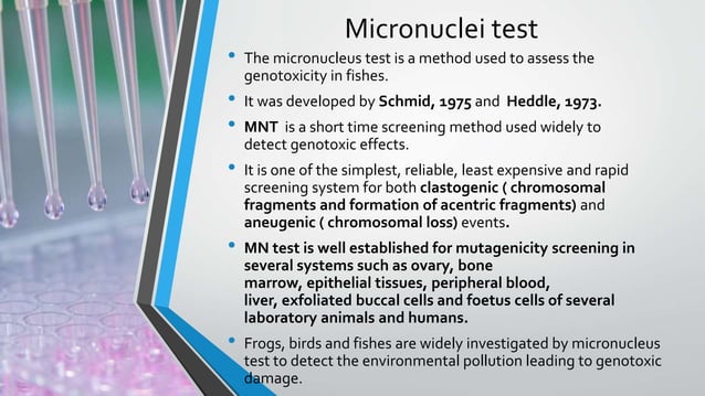 Micronuclei test.M.sc.zoology.fisheries. | PPTX | Biological Sciences ...