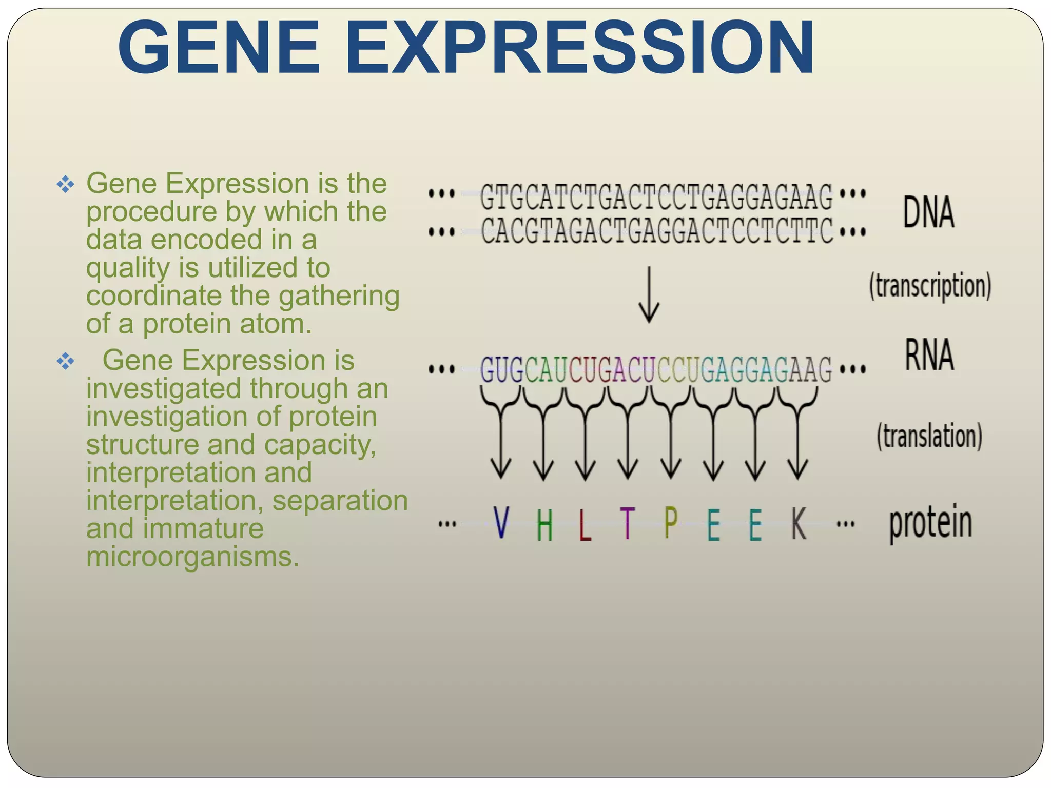Regulation of Prokaryotic gene expression | PPT