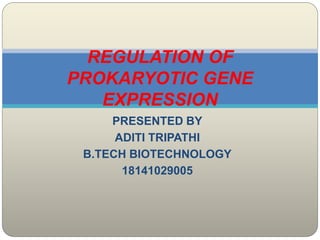 Regulation of Prokaryotic gene expression | PPT