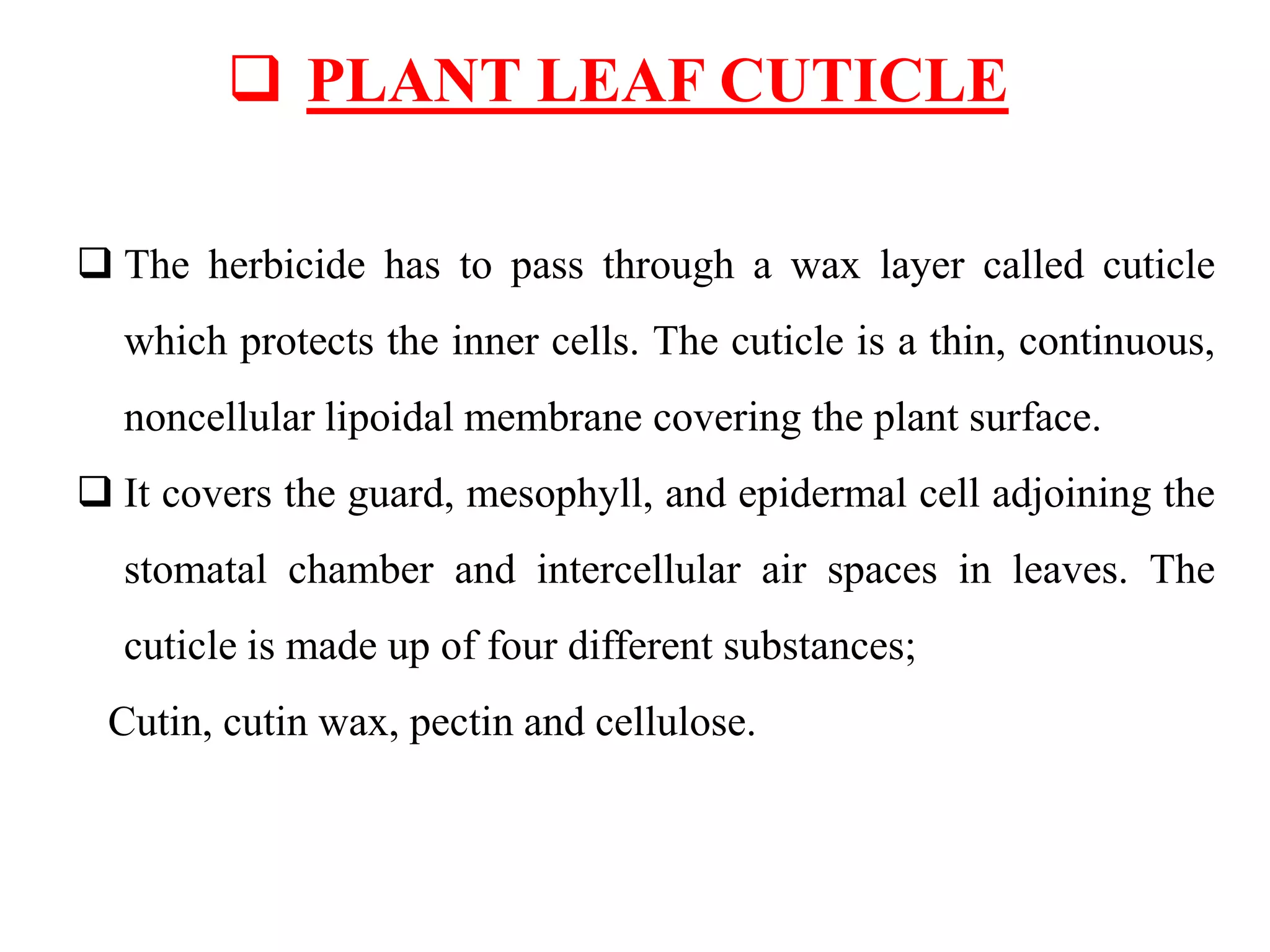 Movement of Herbicide in Plants and Soil.pptx