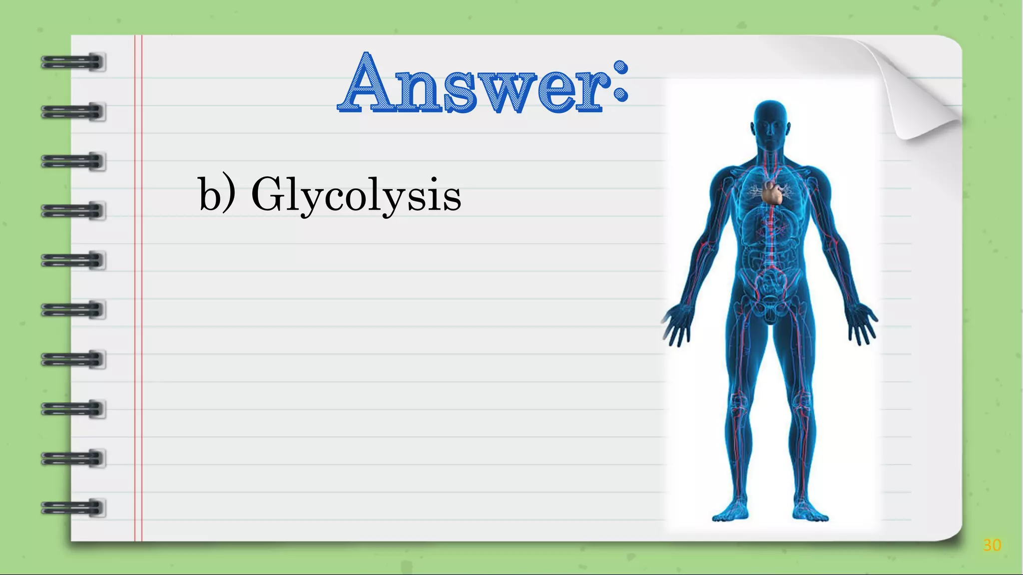 CARBOHYDRATE METABOLISM : GLYCOLYSIS | PDF