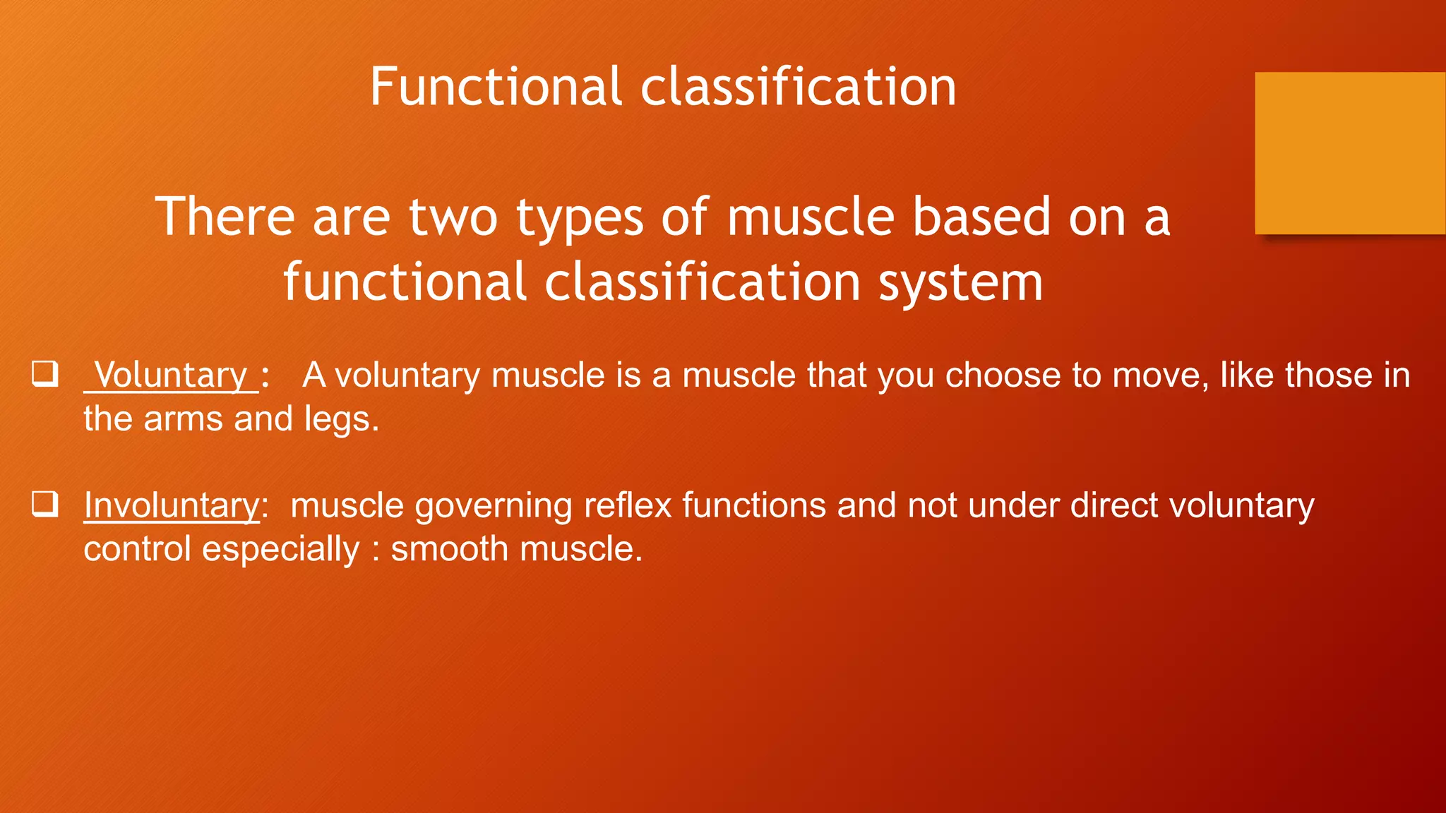 types of muscles.pptx