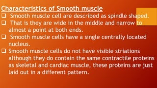 types of muscles.pptx