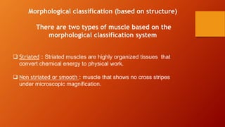 types of muscles.pptx