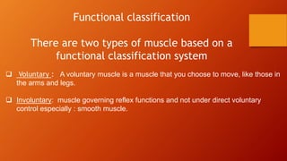 types of muscles.pptx