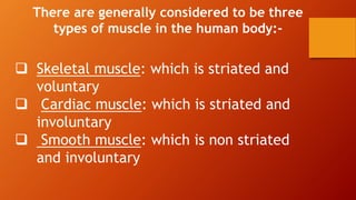 types of muscles.pptx