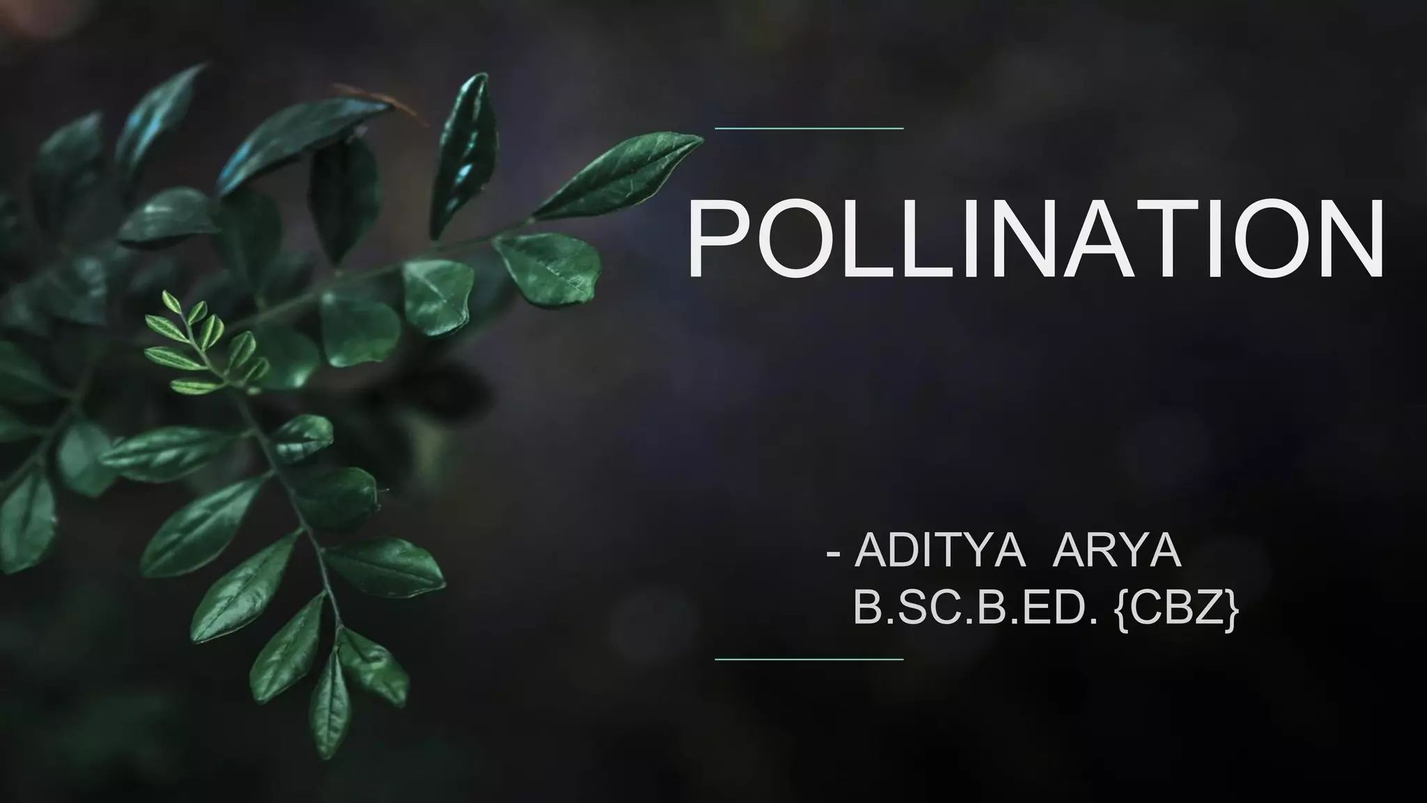 POLLINATION | PDF