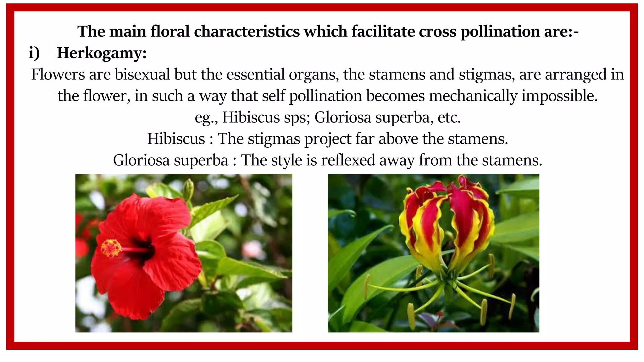 POLLINATION | PDF