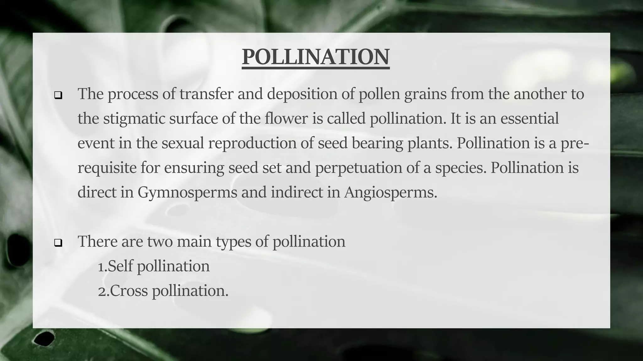POLLINATION | PDF