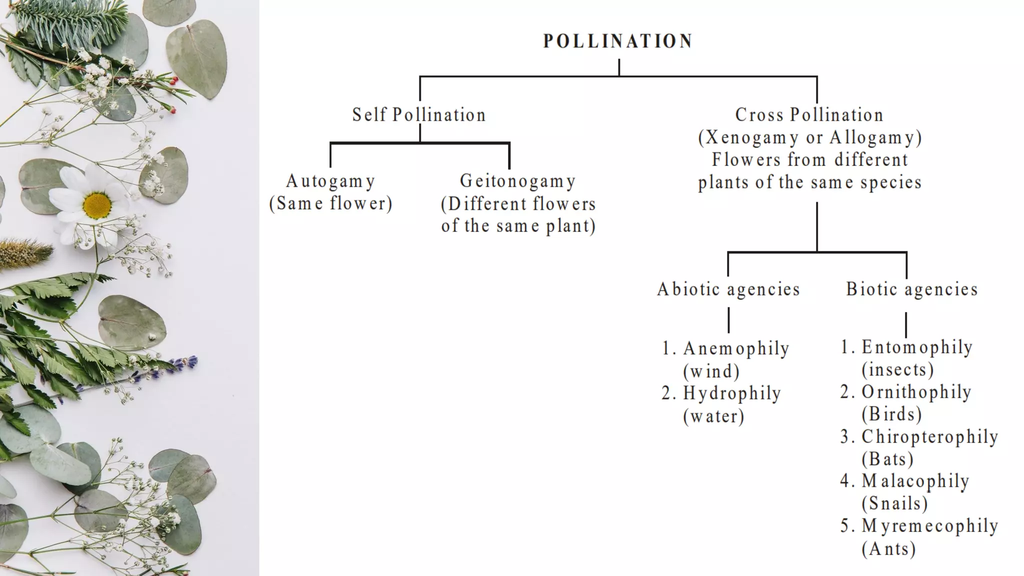 POLLINATION | PDF