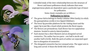 POLLINATION | PDF