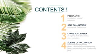 POLLINATION | PDF
