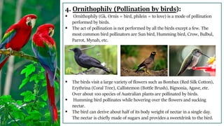 POLLINATION | PDF